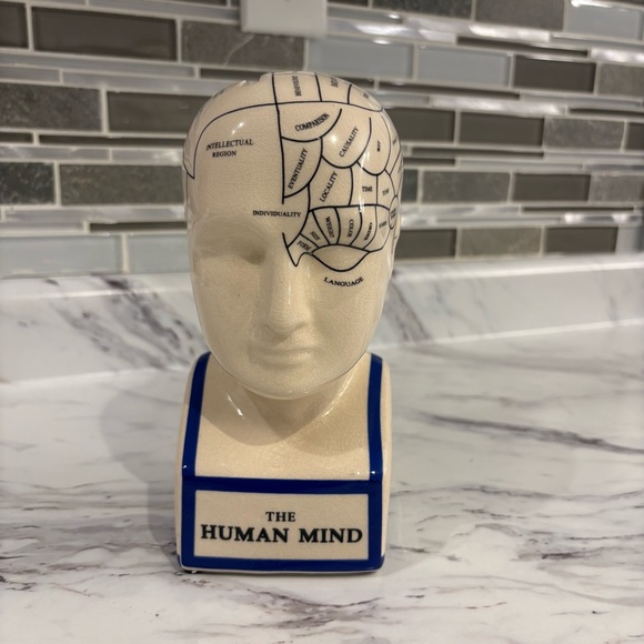 Vintage | Accents | Vintage Head Statue Phrenology Head Bust Scientific ...